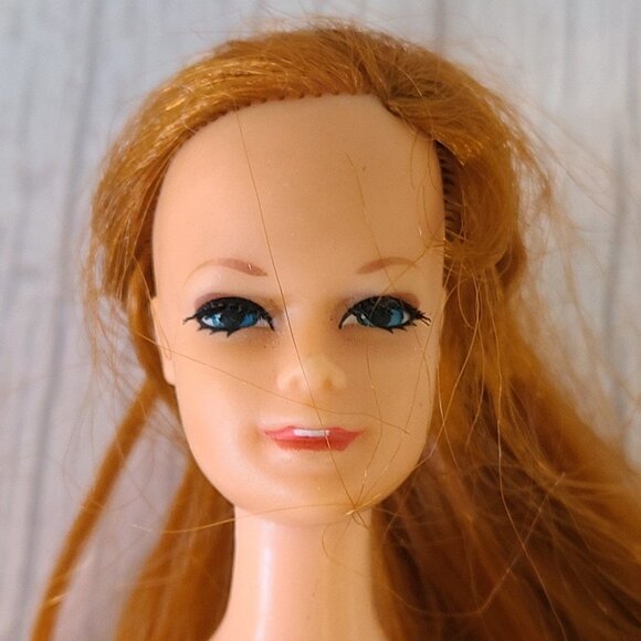 Titan Red Mod Stacey | Toys | Vintage Titan Red Mod Stacey Tnt Barbie ...